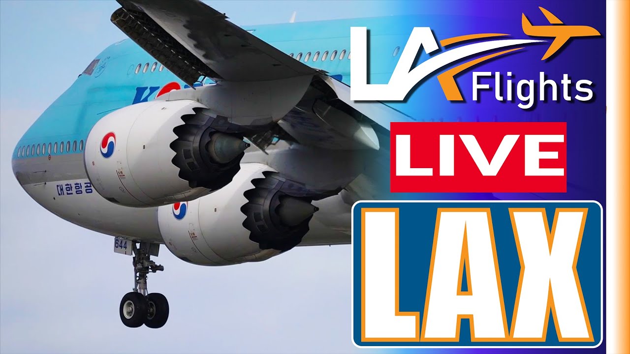 LA Flights. Lufty Amazing wing waves